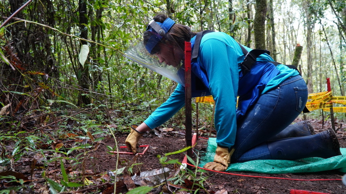 Colombia: land freed of mines, lives freed of fear | Humanity ...